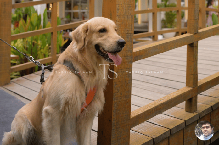 Oia Bangalore: Asia’s Largest Pub In The Heart Of Hennur (2025 ...