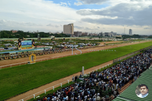 Bangalore Turf Club: My Day At Bengaluru’s Most Glamorous Racecourse ...
