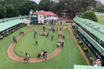 Bangalore Turf Club: My Day At Bengaluru’s Most Glamorous Racecourse ...