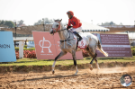 Bangalore Turf Club: My Day At Bengaluru’s Most Glamorous Racecourse ...